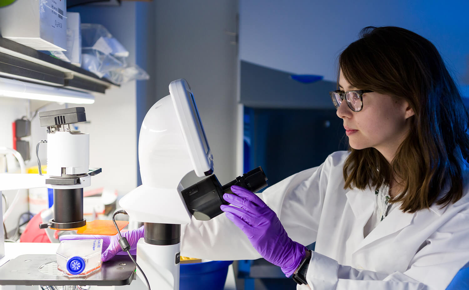 Anuva. Creating the world's most diverse Genomic Bio/Data Bank.